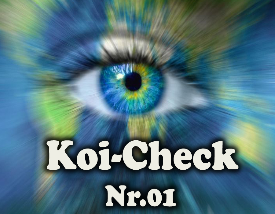 Koi-Check Nr. 1 – Showa – Züchter "Isa" (Video) | Koinet.de