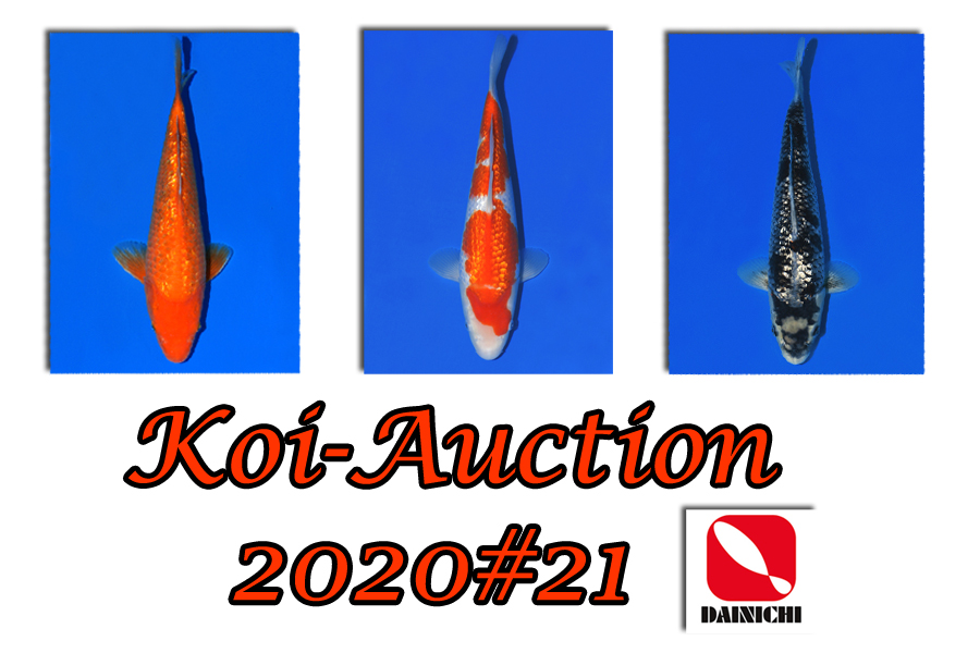 Koi-Auction 2020 #21 - Koinet GmbH